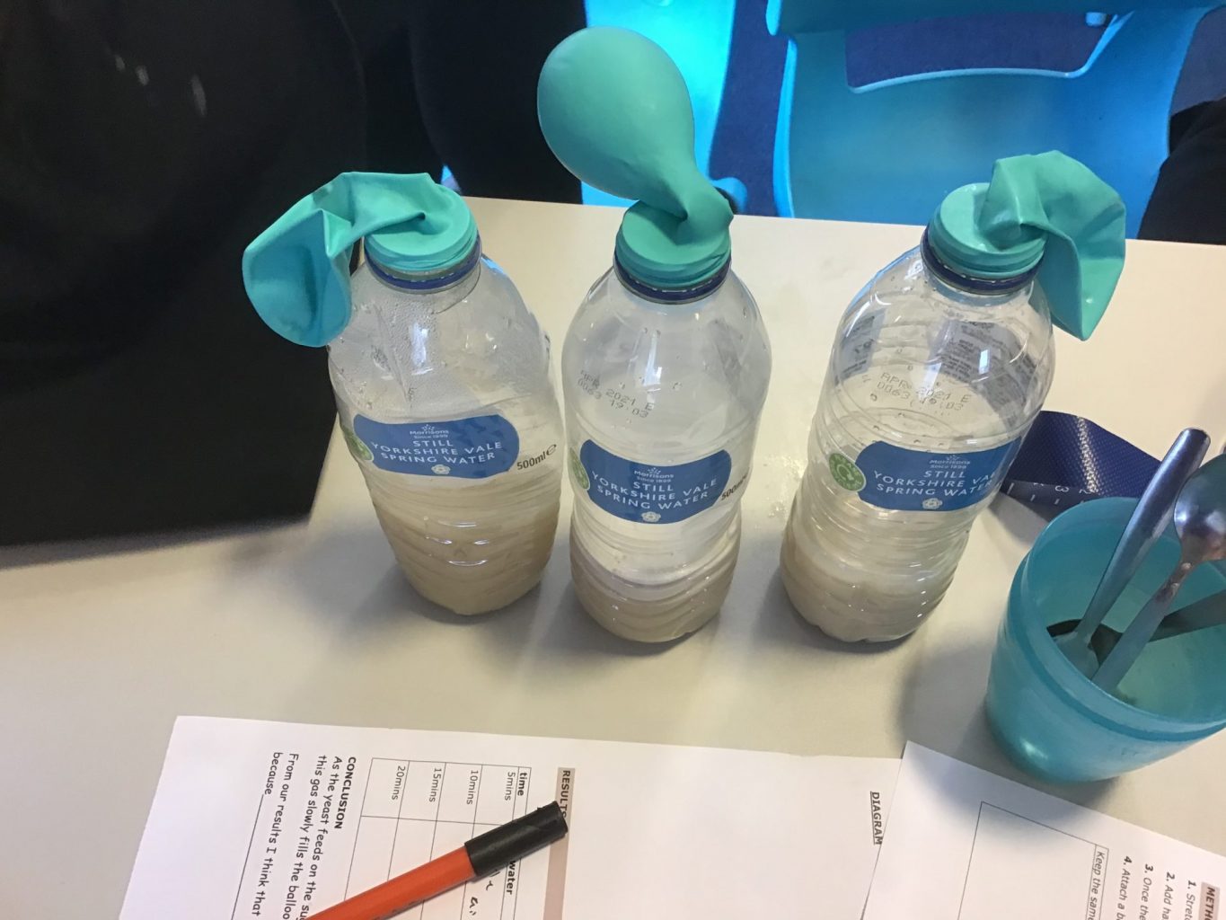 Experimenting with microbes! - Teignmouth Primary