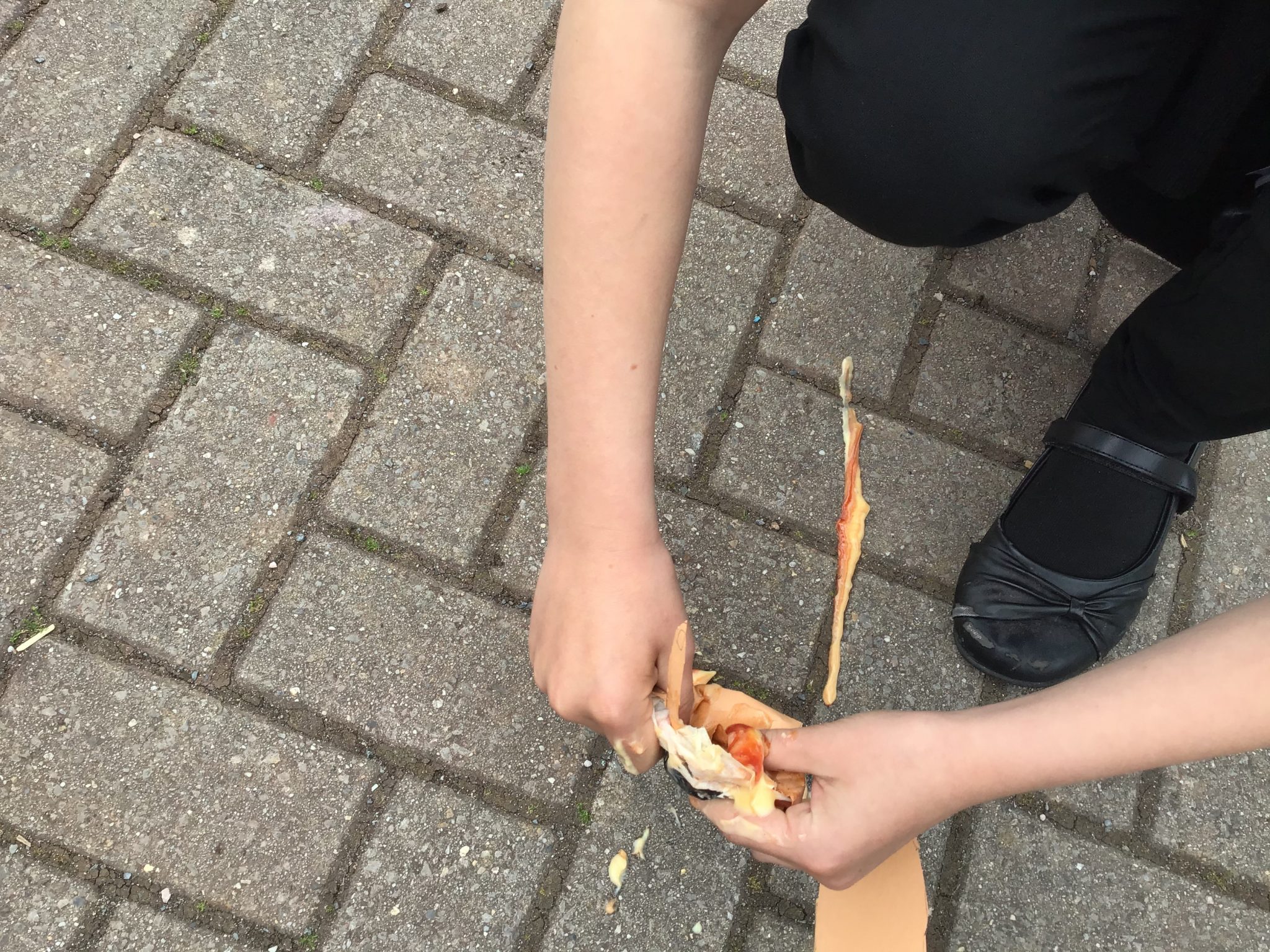 Year 5/6 Popping Buboes! - Teignmouth Primary